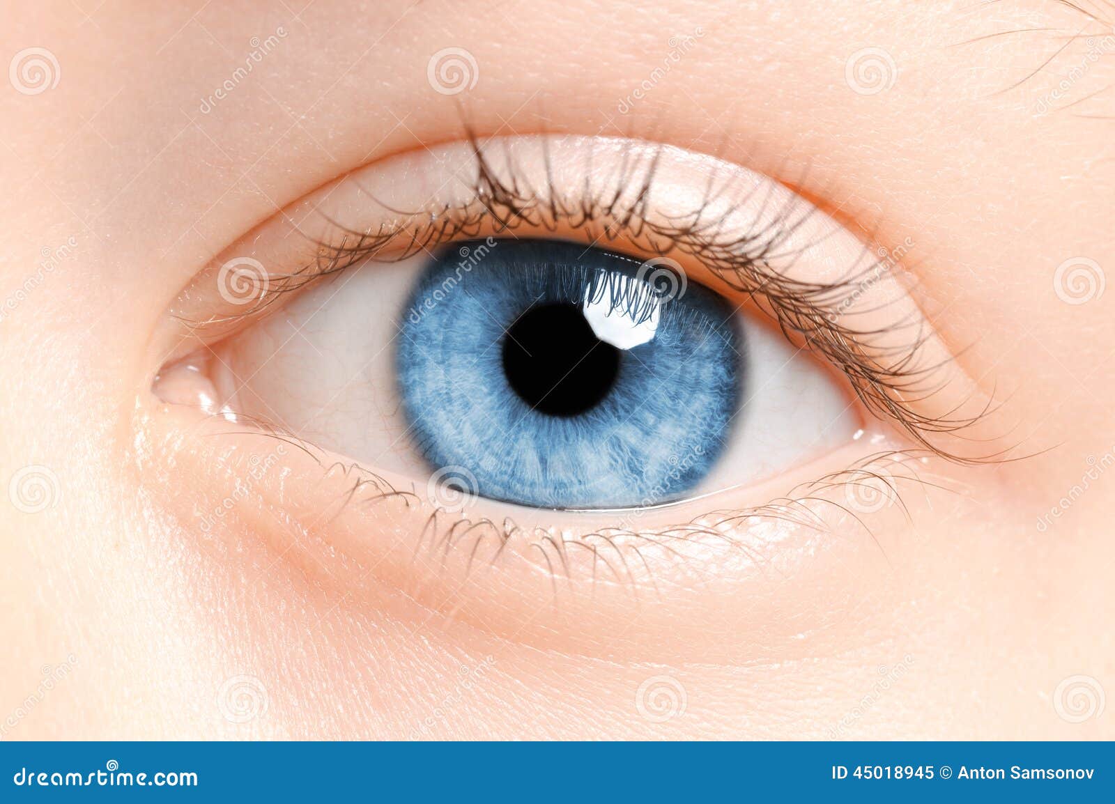 Child s eyes stock image. Image of natural, clean, eyebrow - 45018945