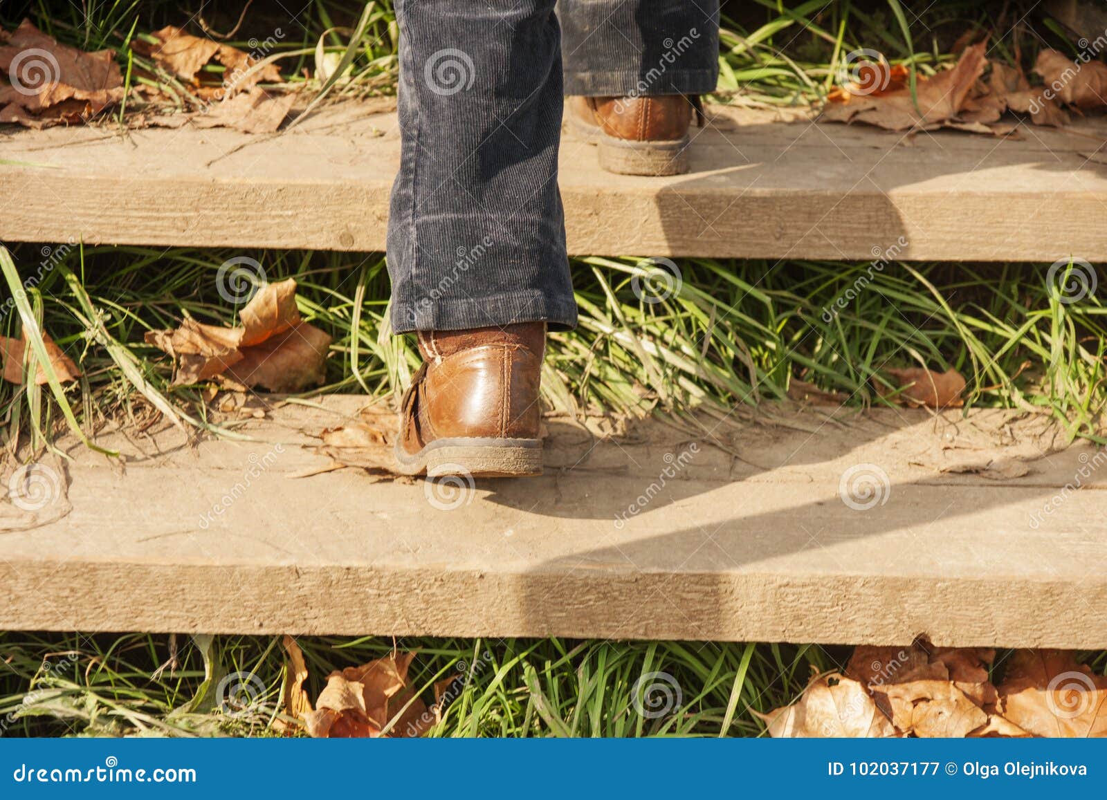 Step up stock image. Image of rise, move, grass, legs - 102037177