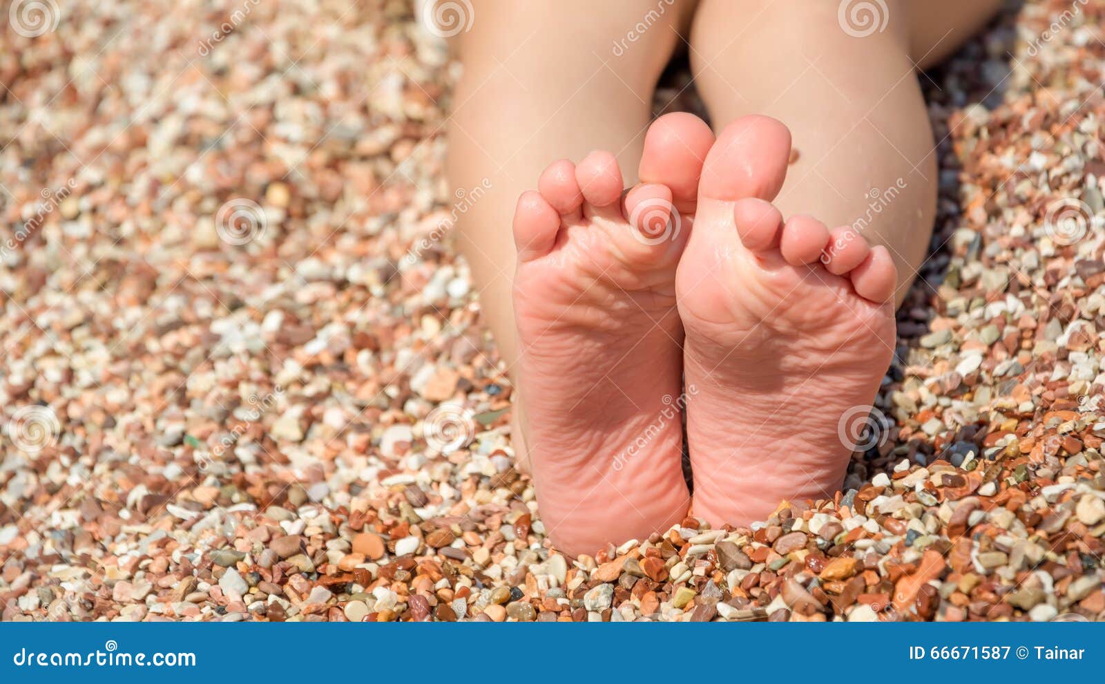 Pebbles On The Beach, Rubble On The Seashore, Top View Royalty-Free ...