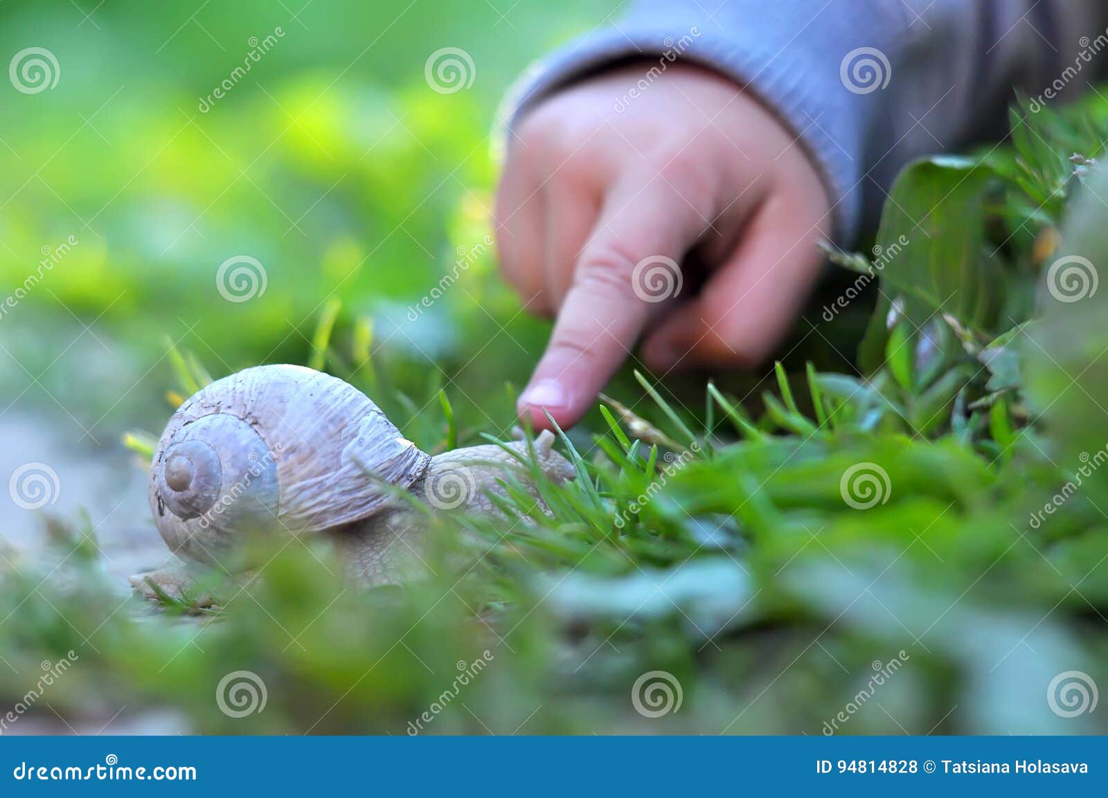 Child`s Finger Pointing on the Snail. Image with Selective Focus Stock ...