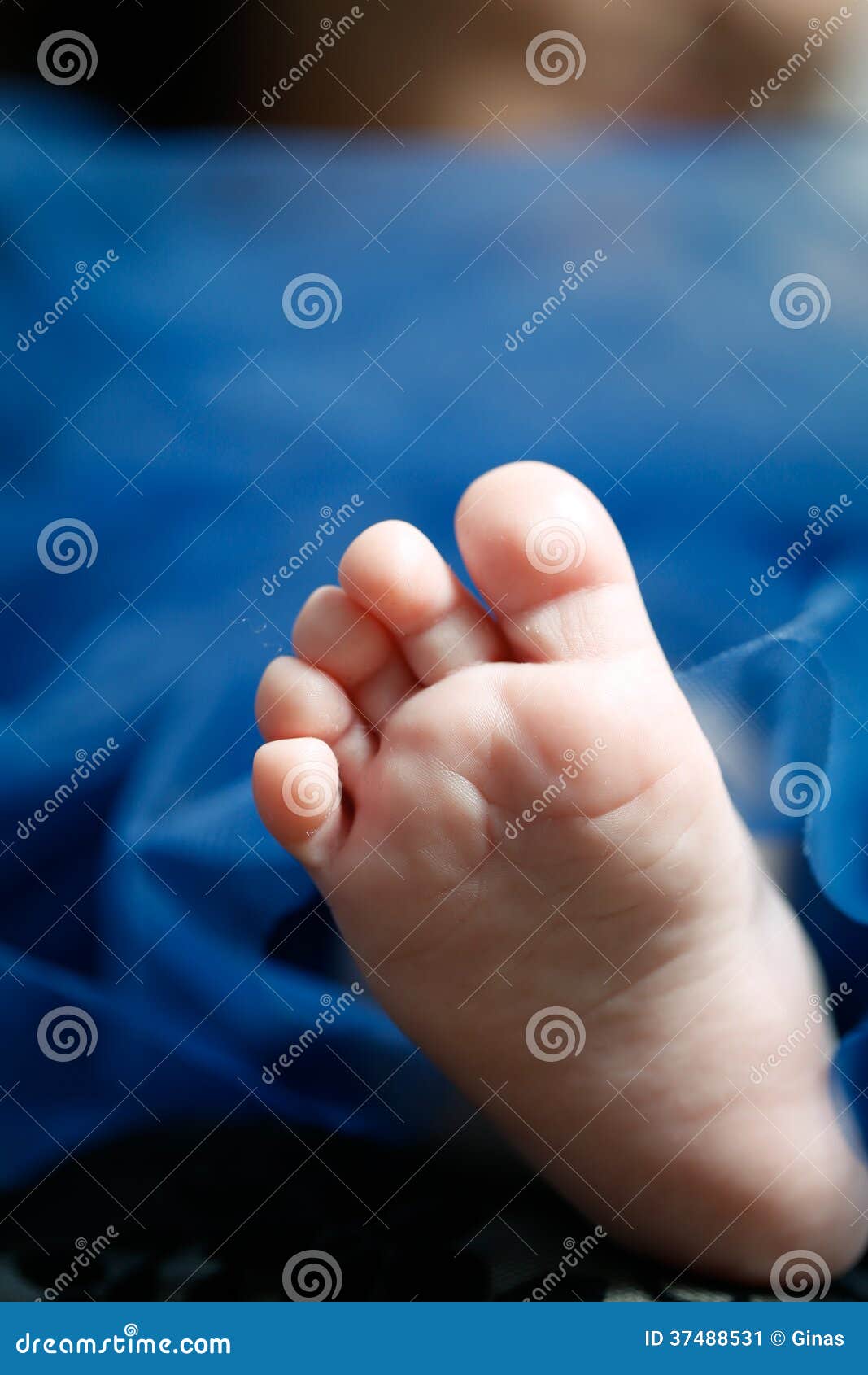 Child s foot stock image. Image of feet, hand, guidance - 37488531