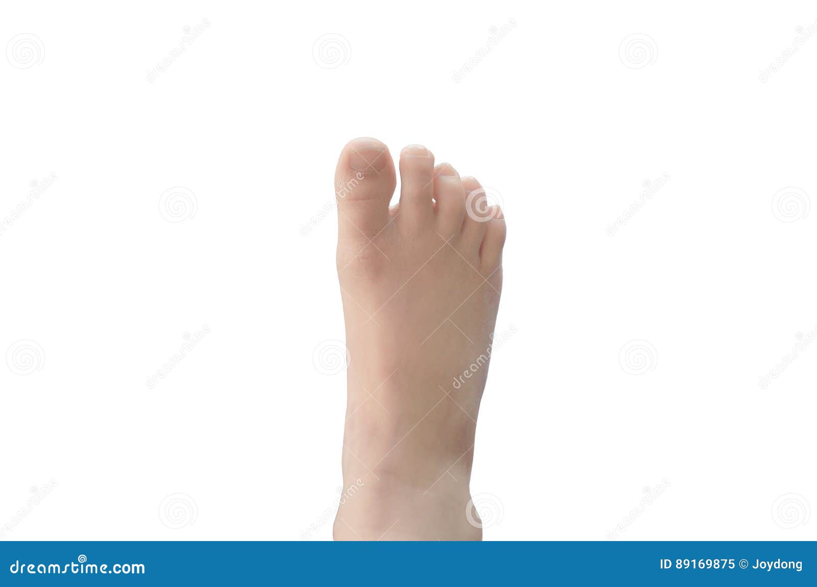 Dactyl's Stock Photos - Free & Royalty-Free Stock Photos from Dreamstime