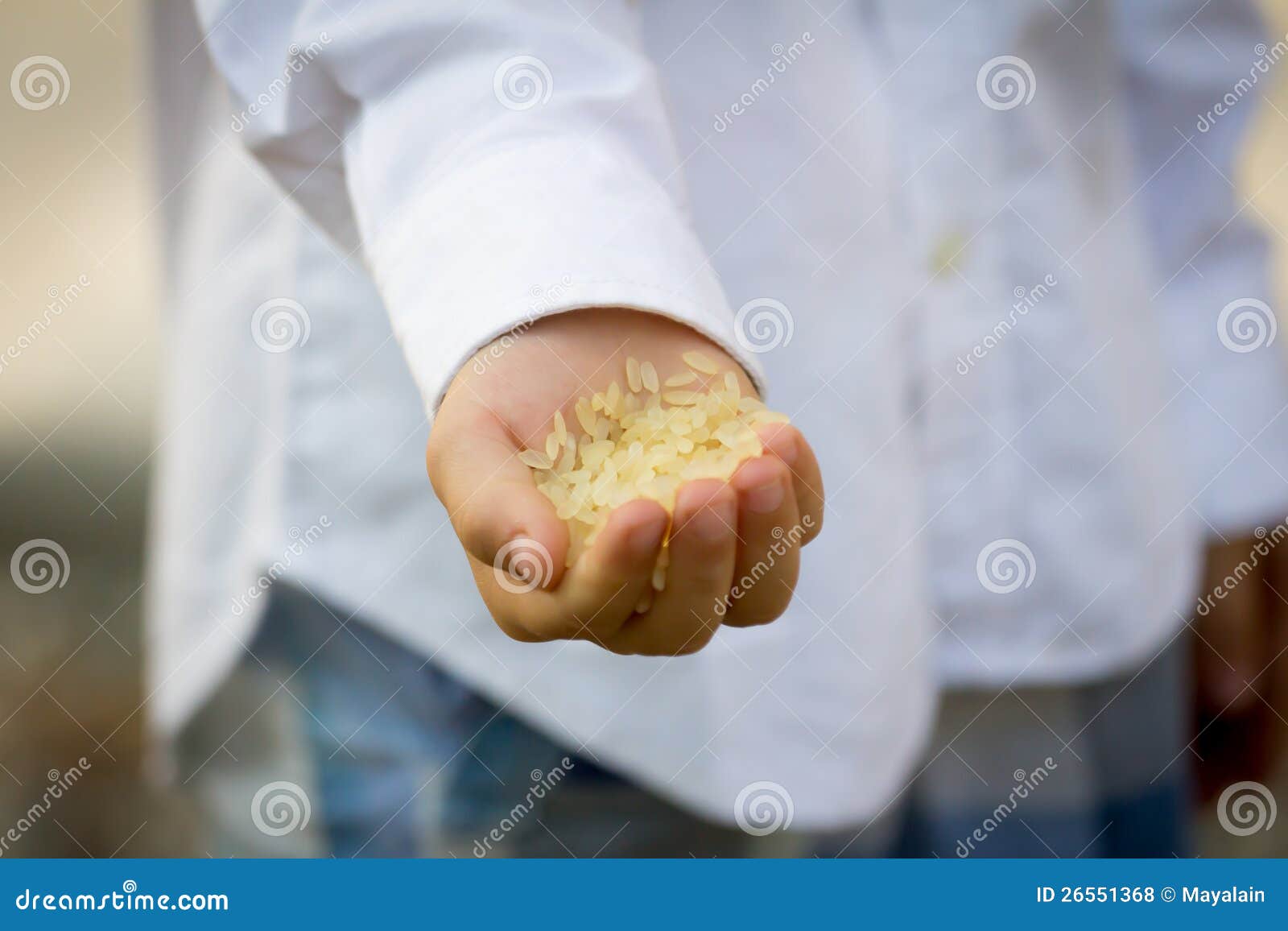 Child s hand holding rice stock photo. Image of eating - 26551368