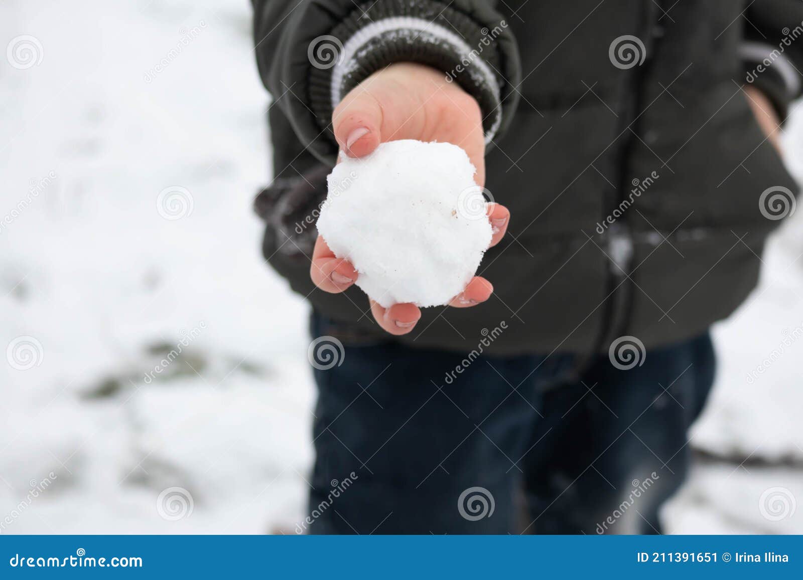 A Child`s Hand Holding a Round Snowball Stock Image - Image of offer ...