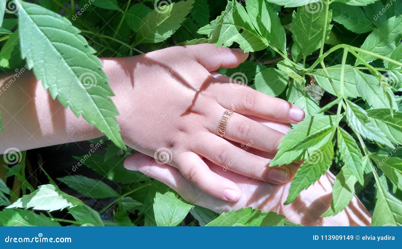 Hands stock image. Image of baby, hands, childs, kinder - 113909149