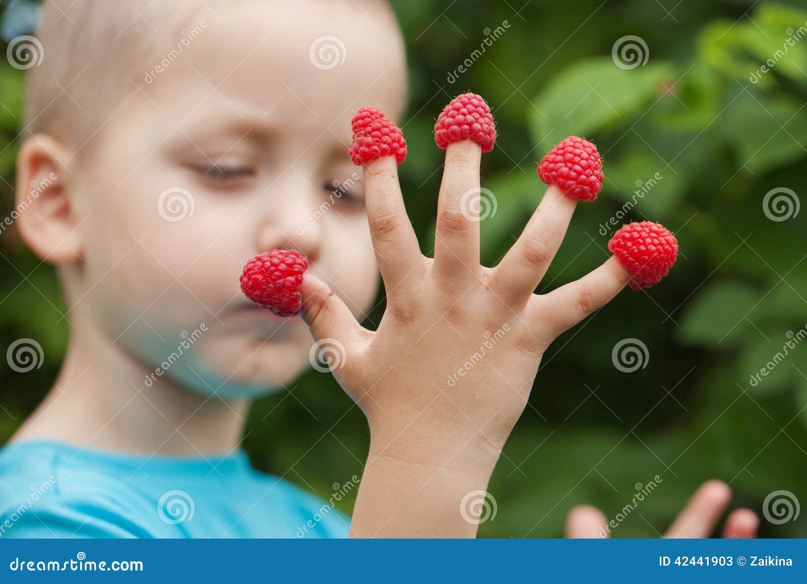 Child S Hand with Raspberry on Fingers Stock Image - Image of delicious ...