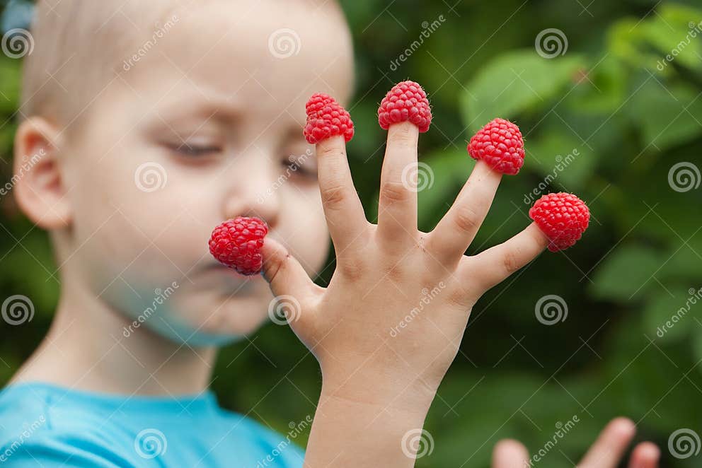 Child S Hand with Raspberry on Fingers Stock Image - Image of delicious ...