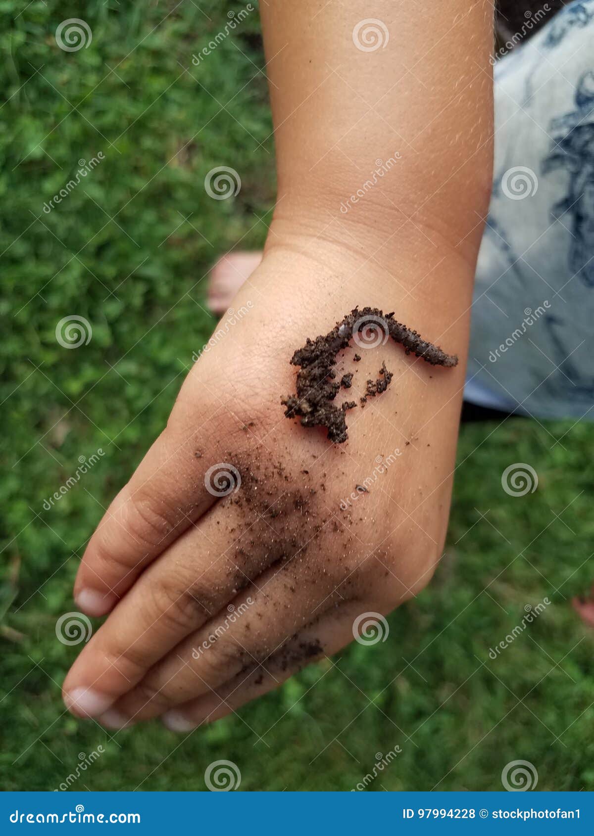 A Child`s Hand with a Worm on it Stock Photo - Image of fingers, nature ...