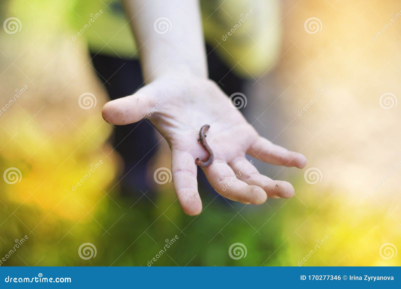The Child`s Handle Holds the Worm. Close-up Photo of a Child`s Hand ...