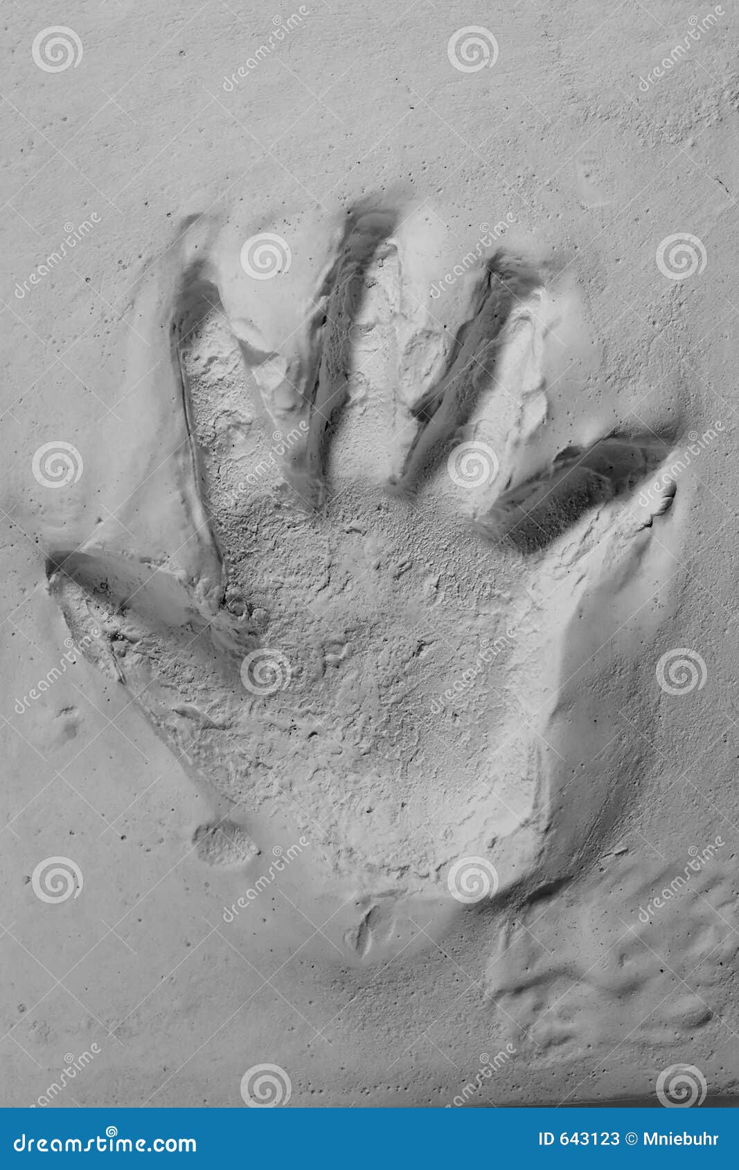 Child S Handprint in Sandy Smooth White Plaster Stock Image - Image of ...