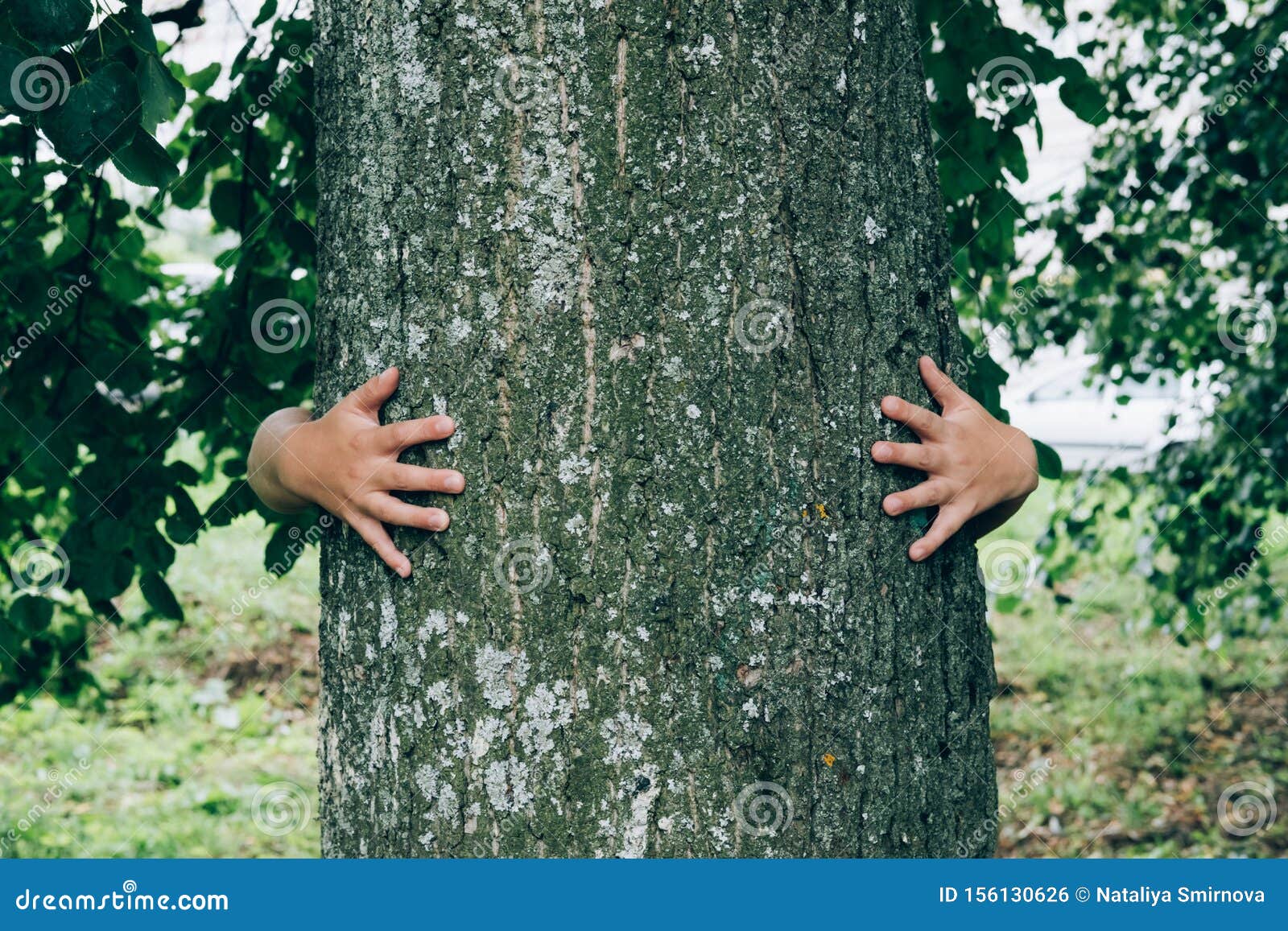 Child`s hands hugging tree stock photo. Image of conservation - 156130626