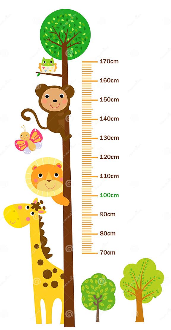 The Child`s Height Illustrations Stock Vector - Illustration of drawing ...