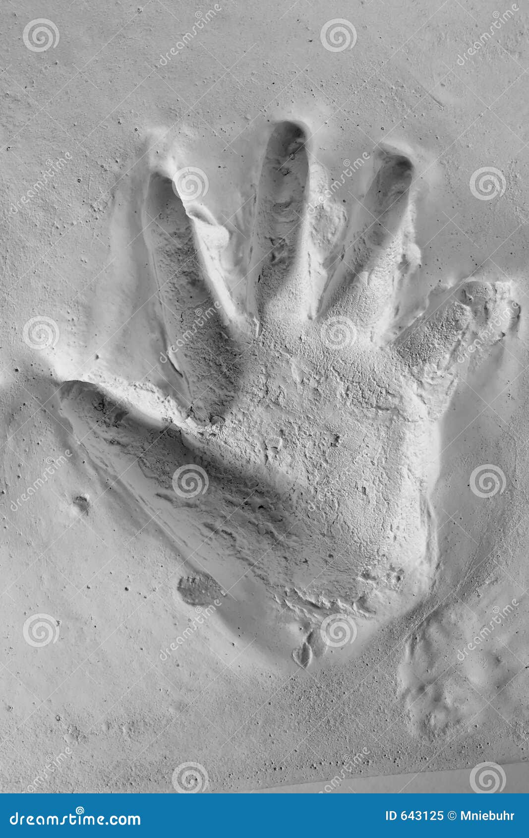 Child S Little Handprint Cast in White Plaster Stock Image - Image of ...