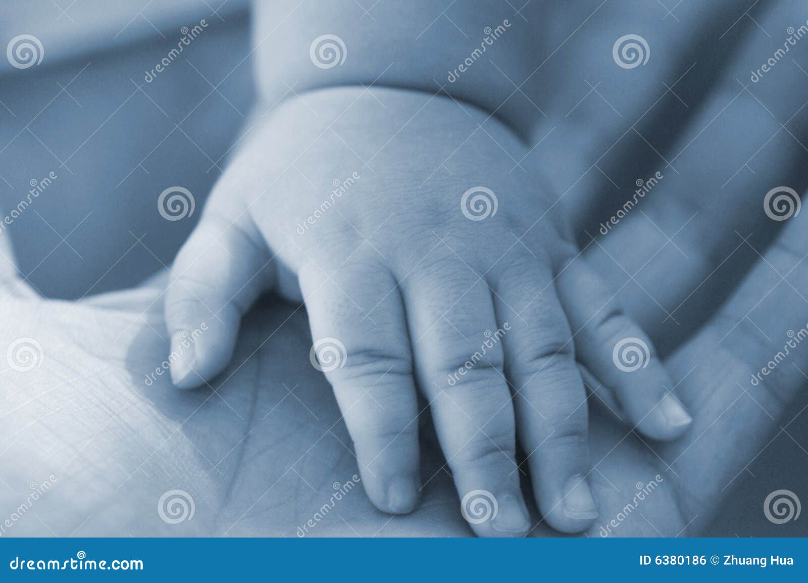 Child s palm stock photo. Image of born, passion, adult - 6380186