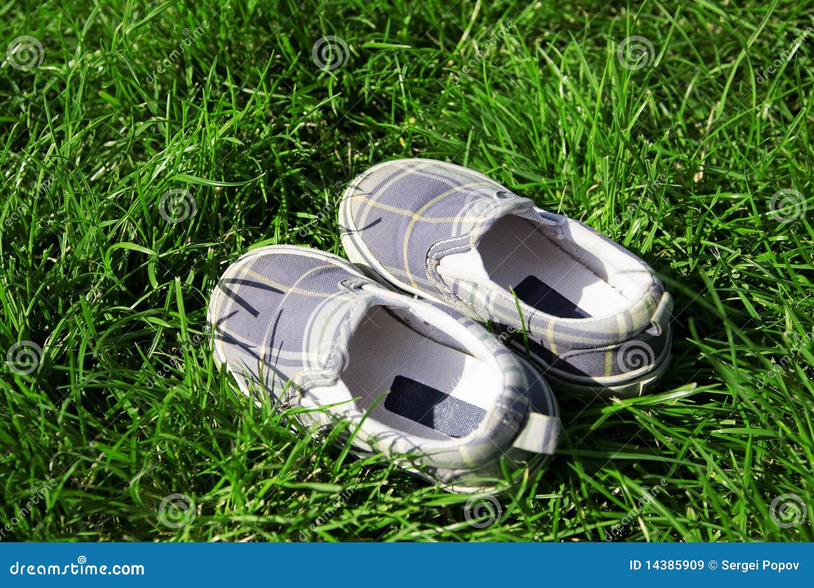 Child s shoe in a grass stock image. Image of clothing - 14385909