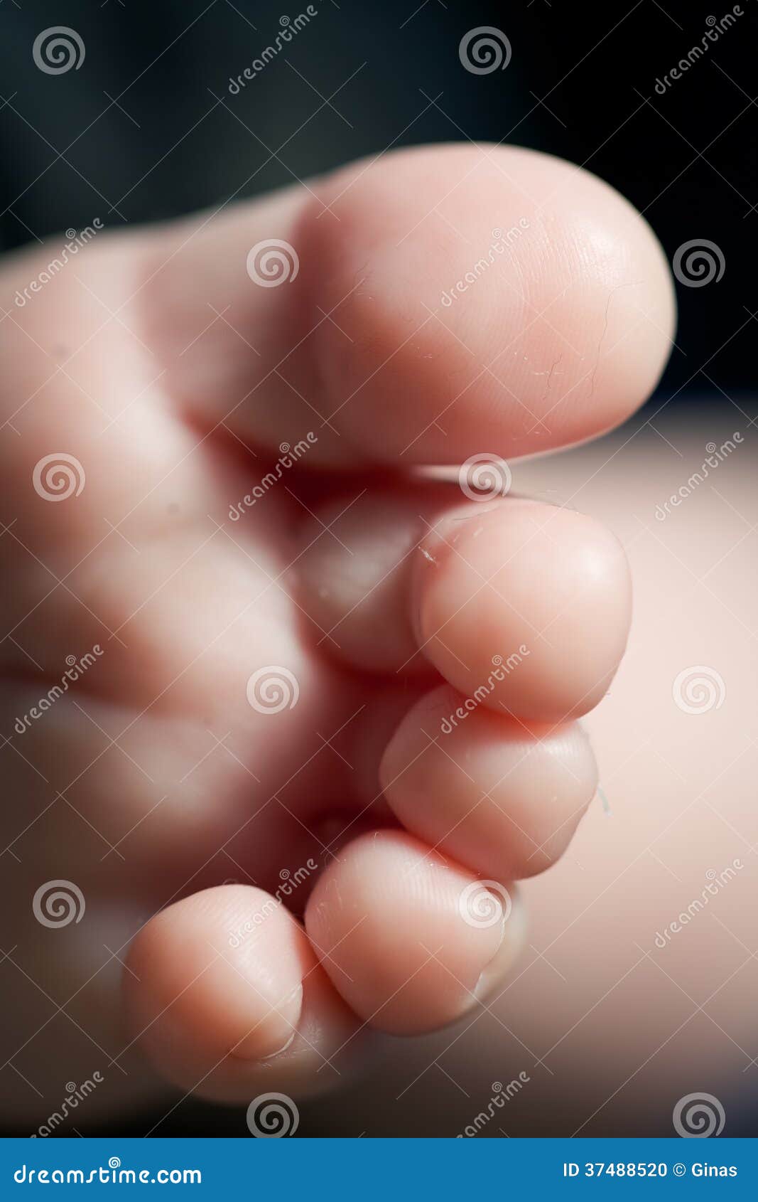 Child s toe stock photo. Image of childhood, body, father - 37488520