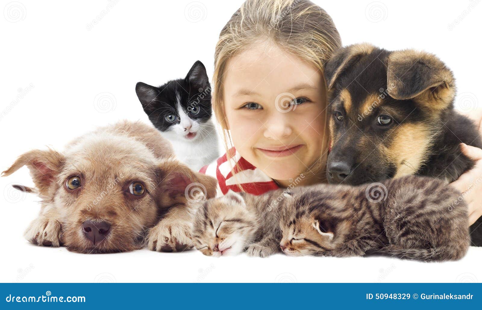Child and set pets stock image. Image of canine, fluffy - 50948329