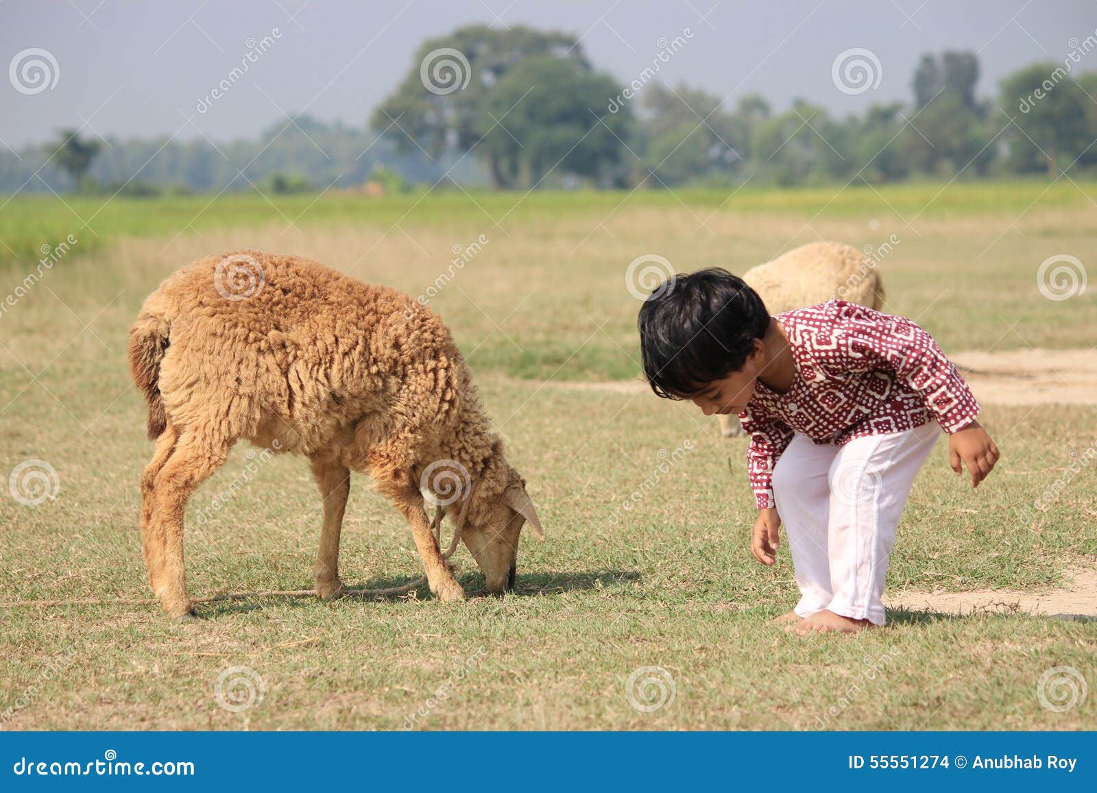 Child and Sheep is in the Field. Stock Photo - Image of landscape, baby ...