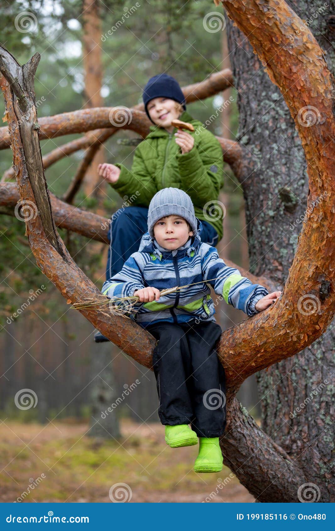 A Child Sits on a Branch. Boy and Girl on the Tree Stock Photo - Image ...