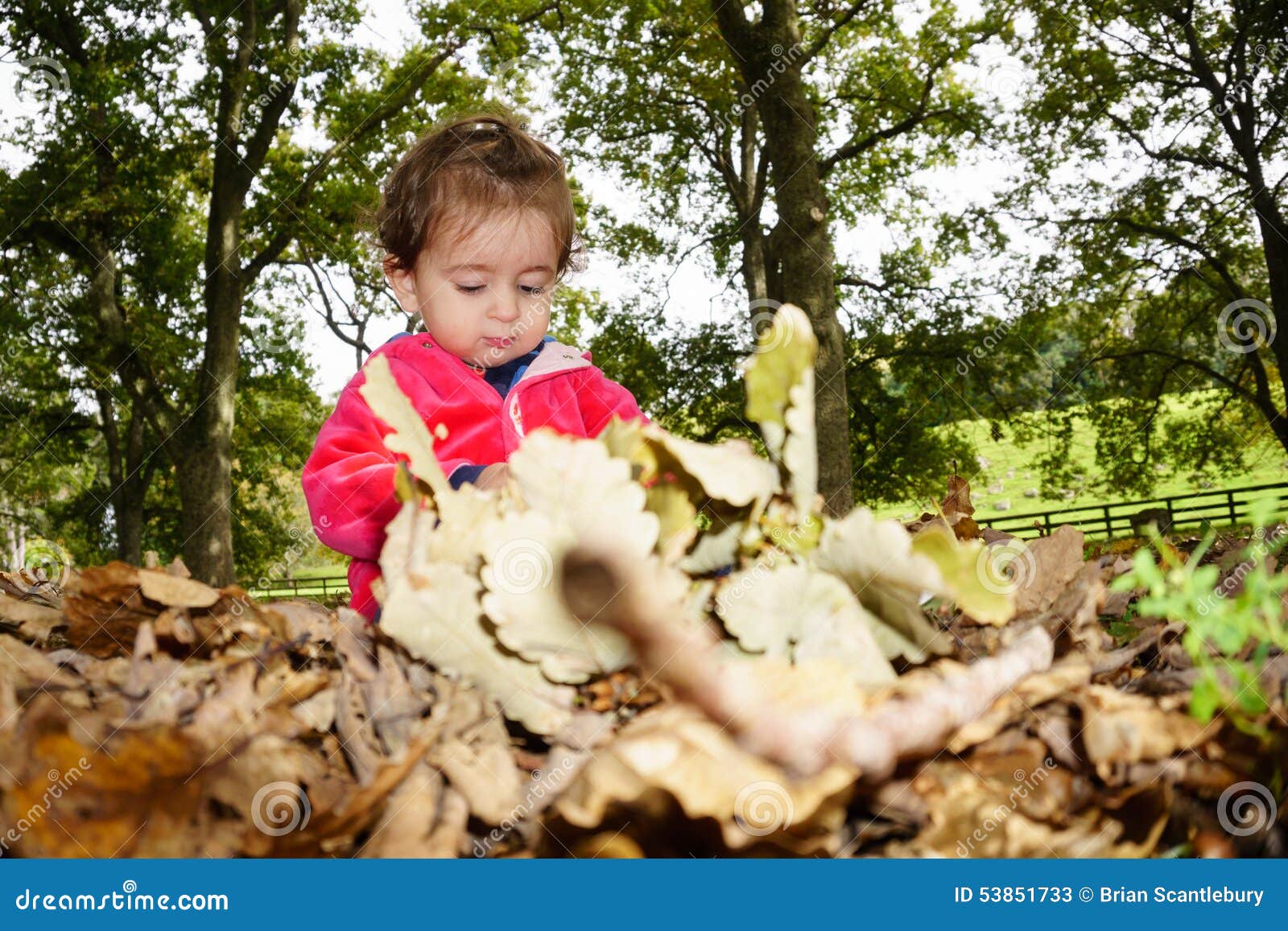 Child Sitting on Ground Concentrating of Playing with Leaves. Stock ...