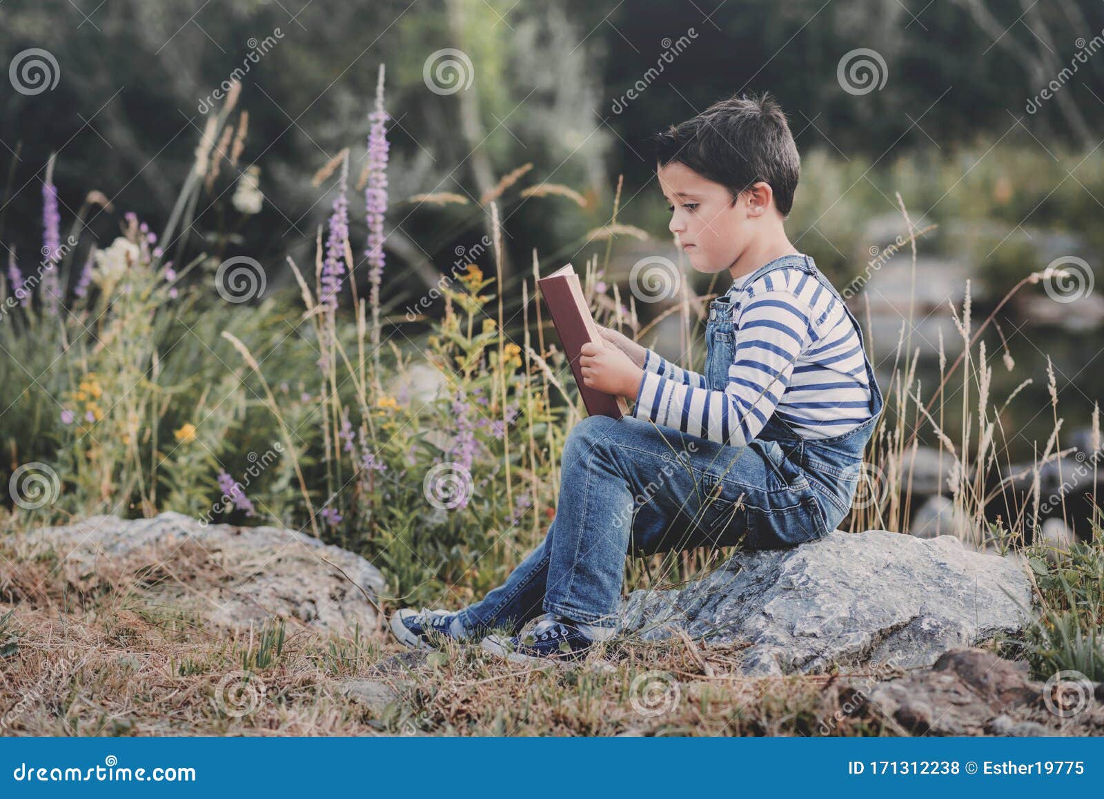 Child Sitting Reading a Book in the Field Stock Photo - Image of people ...