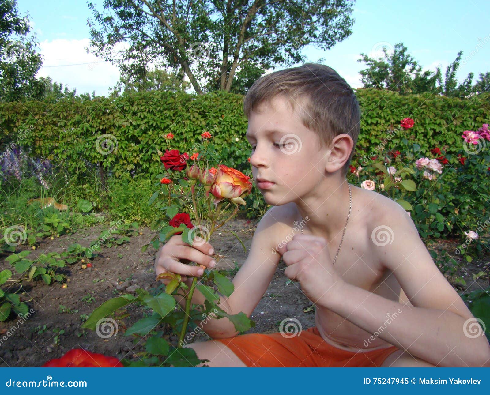 Child smelling a flower stock image. Image of childhood - 75247945
