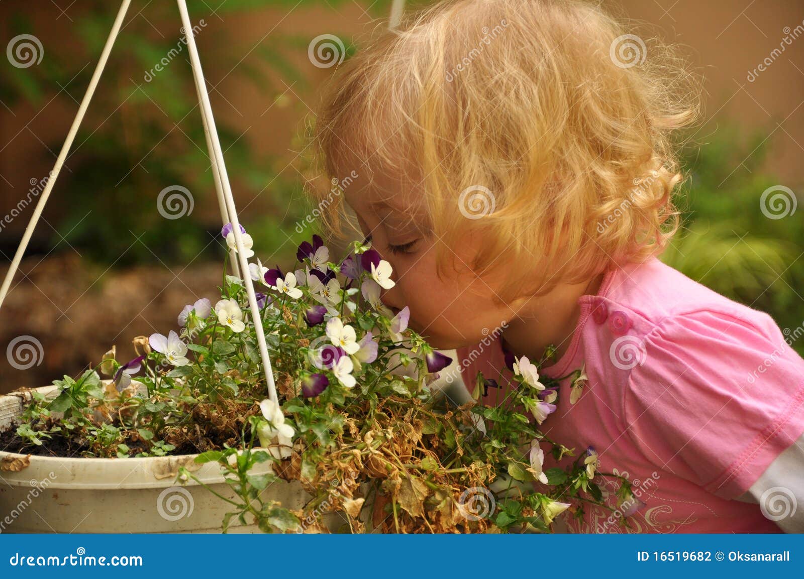 Child smelling flowers stock photo. Image of child, shirt - 16519682
