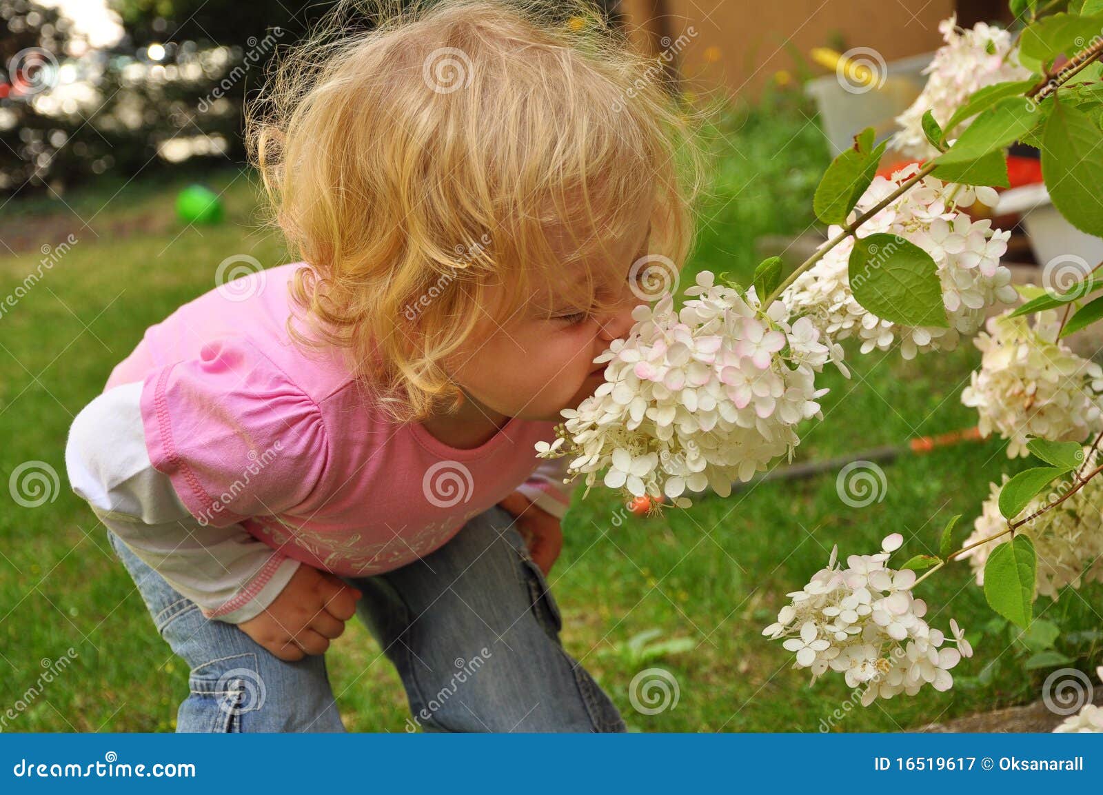 Child Smelling a White Flower Stock Image - Image of park, playground ...