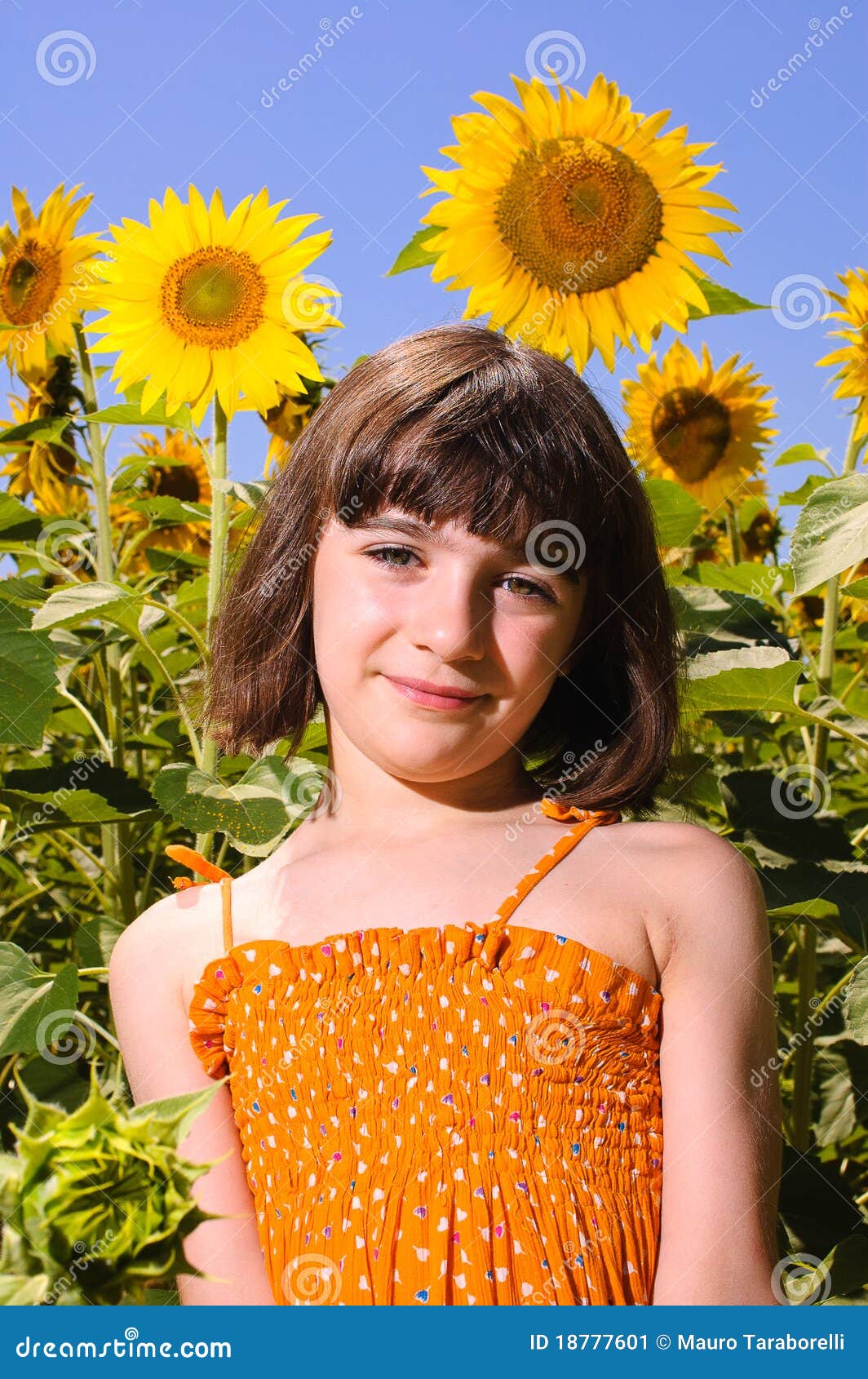 Child Smiling in a Sunflower Field Stock Image - Image of countryside ...