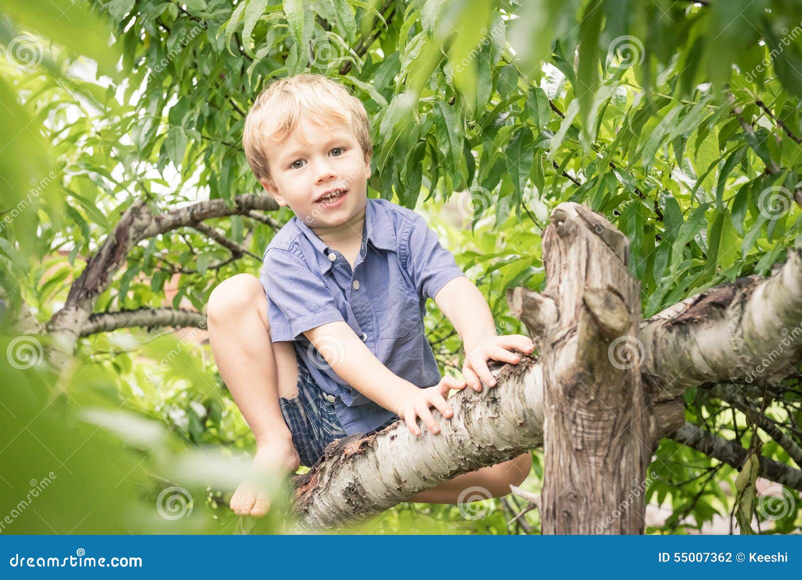 Child Smiling from a Tree stock photo. Image of garden - 55007362