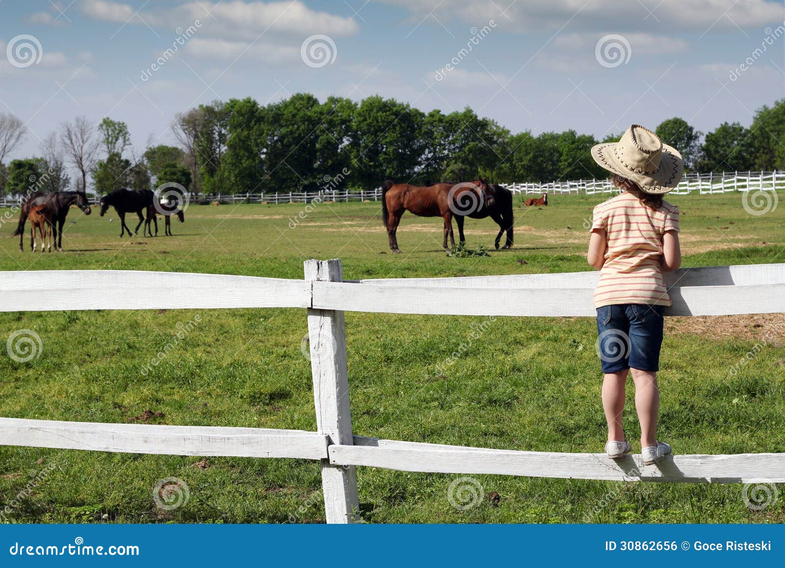 Child Standing on the Corral Stock Photo - Image of colt, girl: 30862656