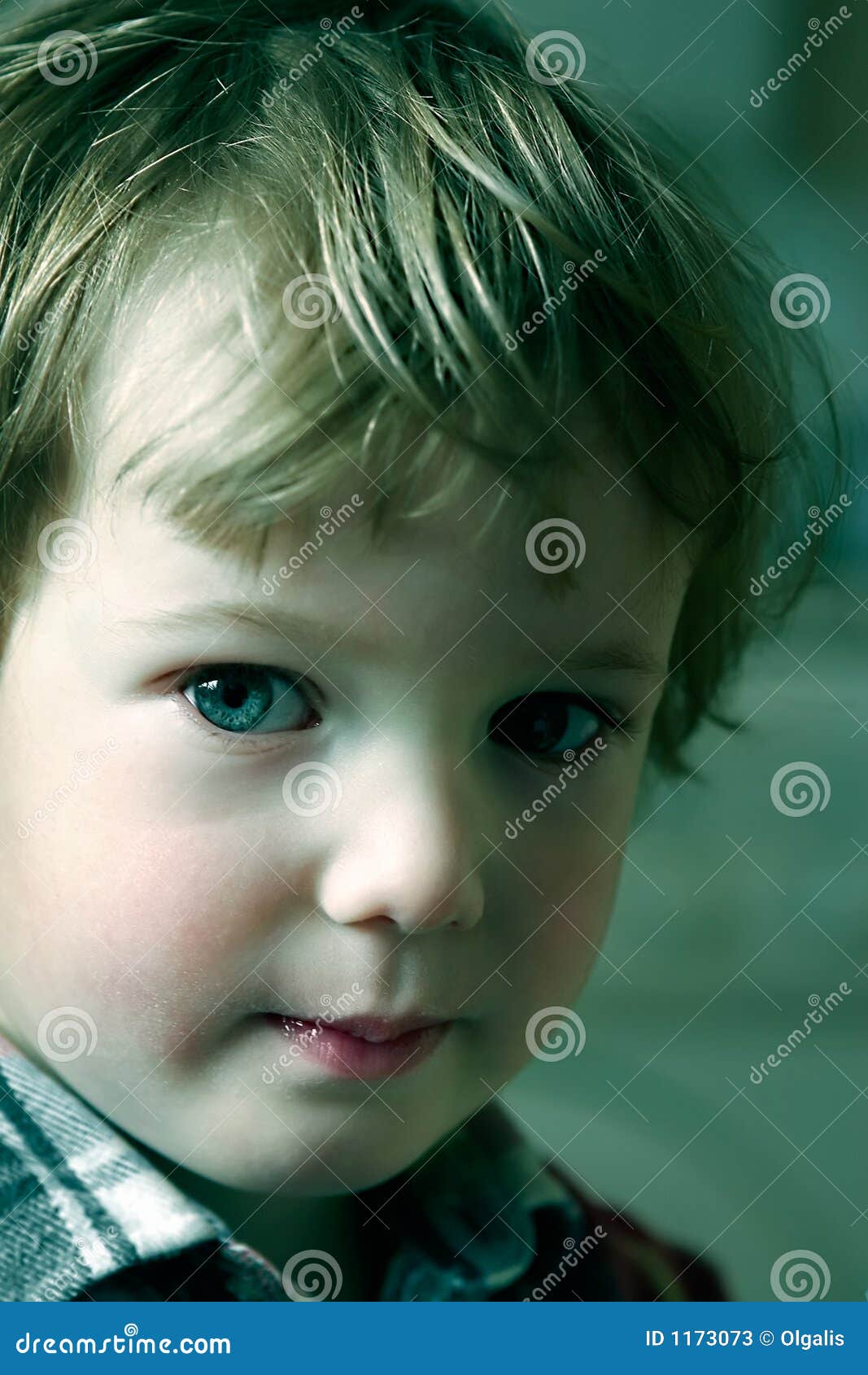 Child stares closely stock image. Image of innocent, life - 1173073