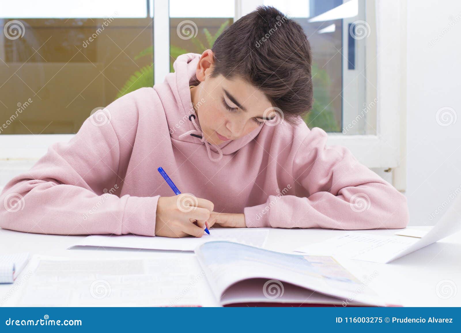 Child Student Write on the Home Stock Image - Image of active, child ...