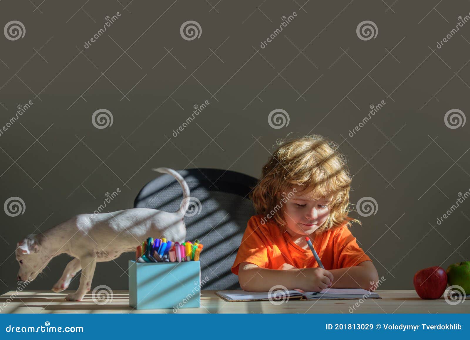 Child Studies and Learn Outside. Happy Cute School Boy Writing for ...