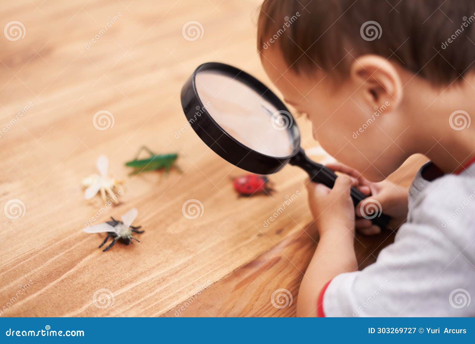 Child, Study and Learning about Insect with Magnifying Glass ...