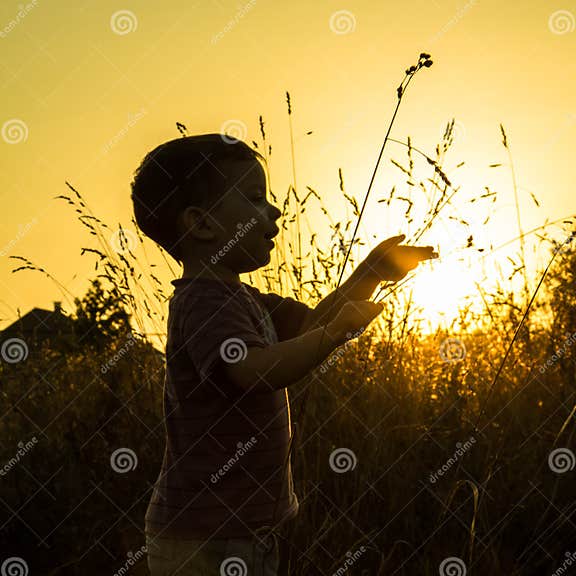 Child sunset silhouette stock image. Image of yellow - 27552421