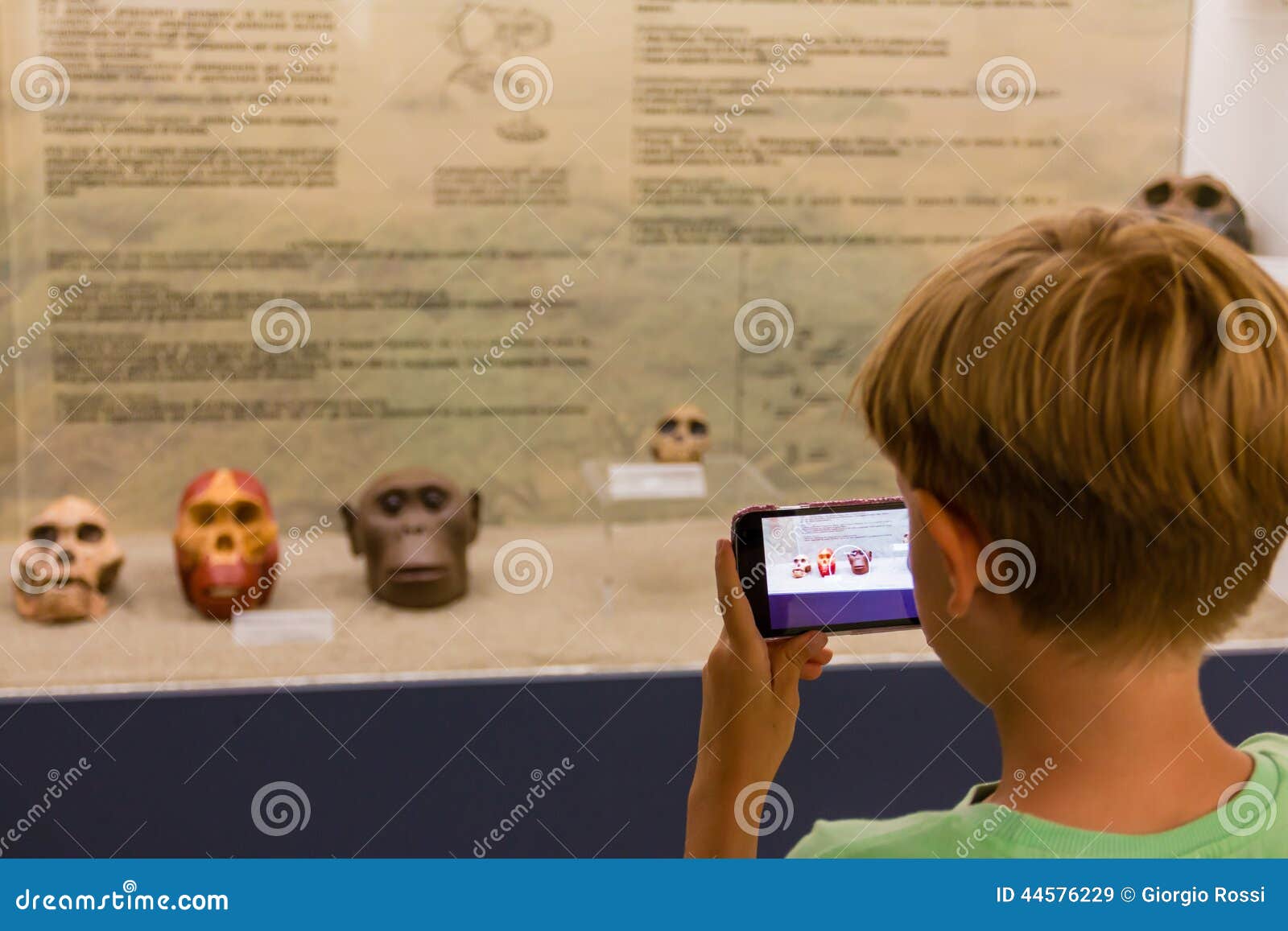 Child Taking Skull Primate Photography at Museum Stock Image - Image of ...