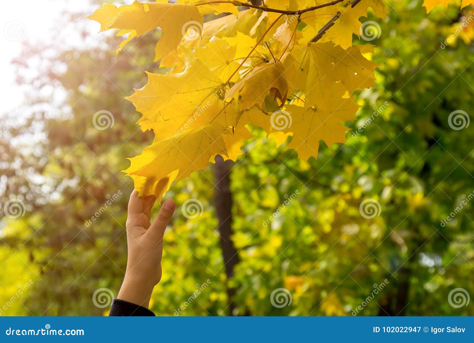 Child With Tears - Young Girl Crying Stock Image | CartoonDealer.com ...