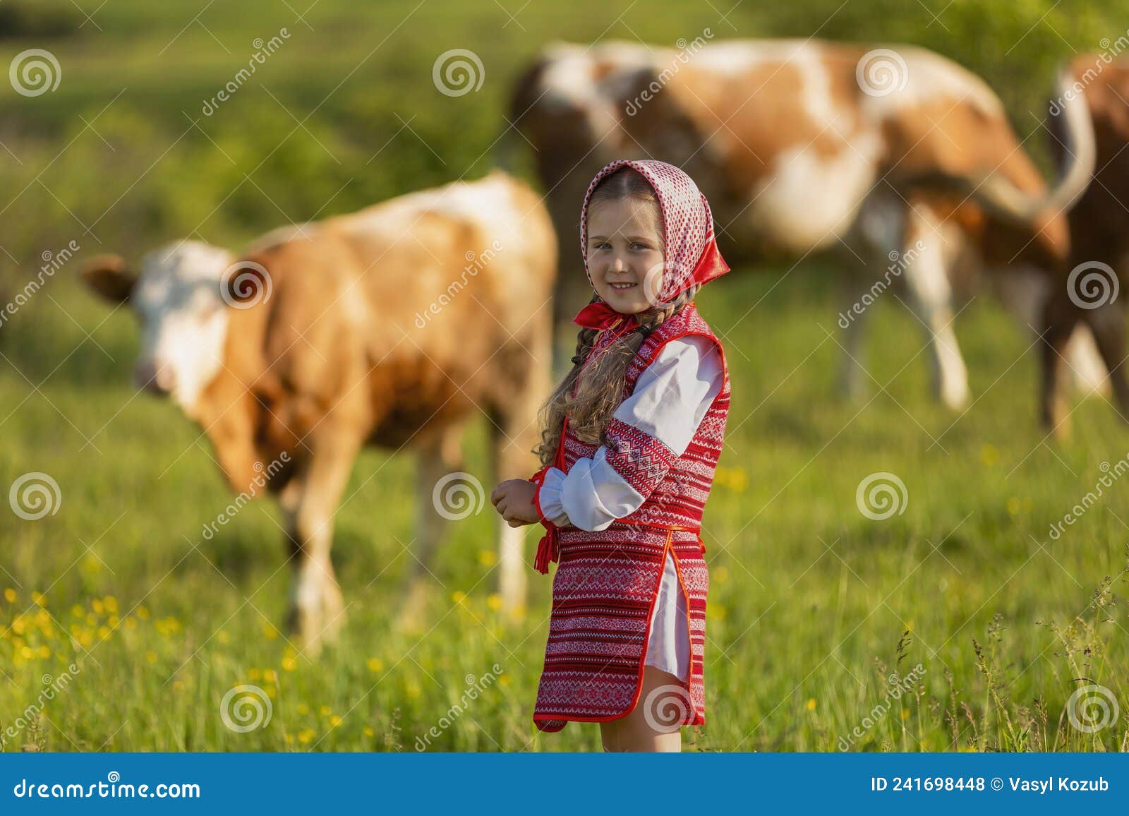 Child tending cows stock photo. Image of grazing, family - 241698448