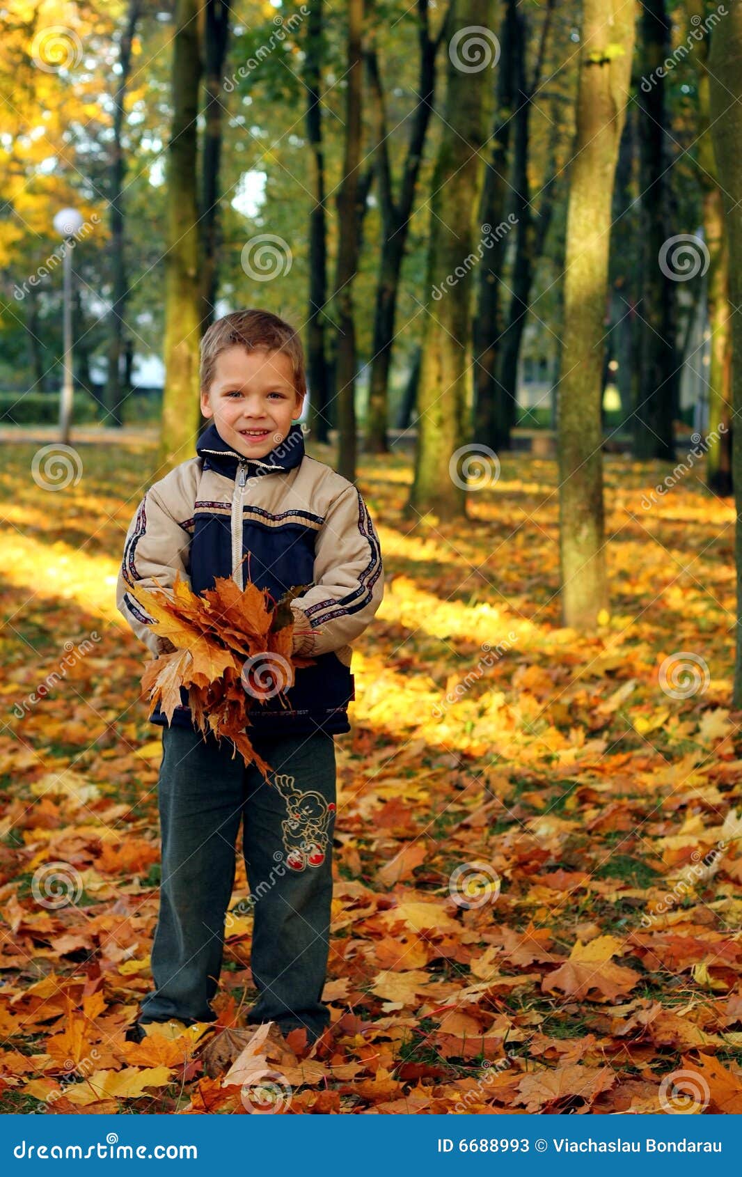 Child Throwing Autumn Leaves Stock Image - Image of foliage, caucasian ...