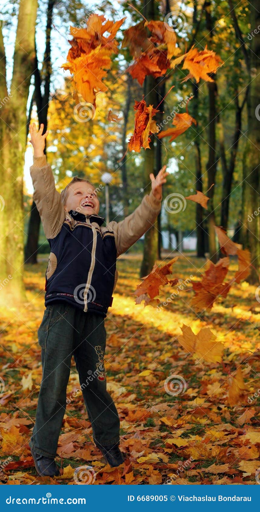 Child Throwing Autumn Leaves Stock Image - Image of hands, fall: 6689005