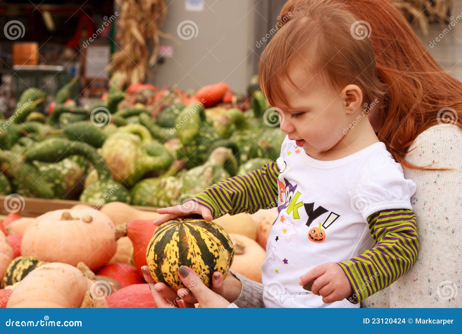 Child Touch Gourd stock photo. Image of pumpkins, gourd - 23120424
