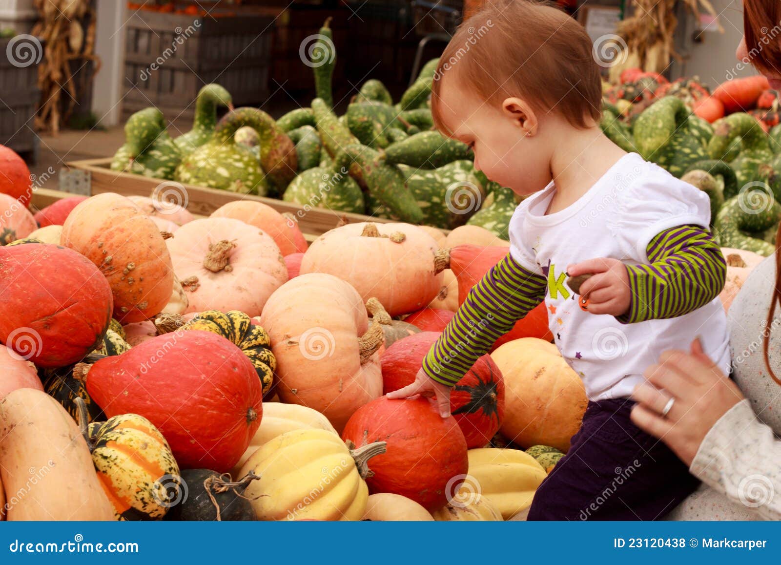 Child Touch Gourd Stock Photos - Free & Royalty-Free Stock Photos from ...