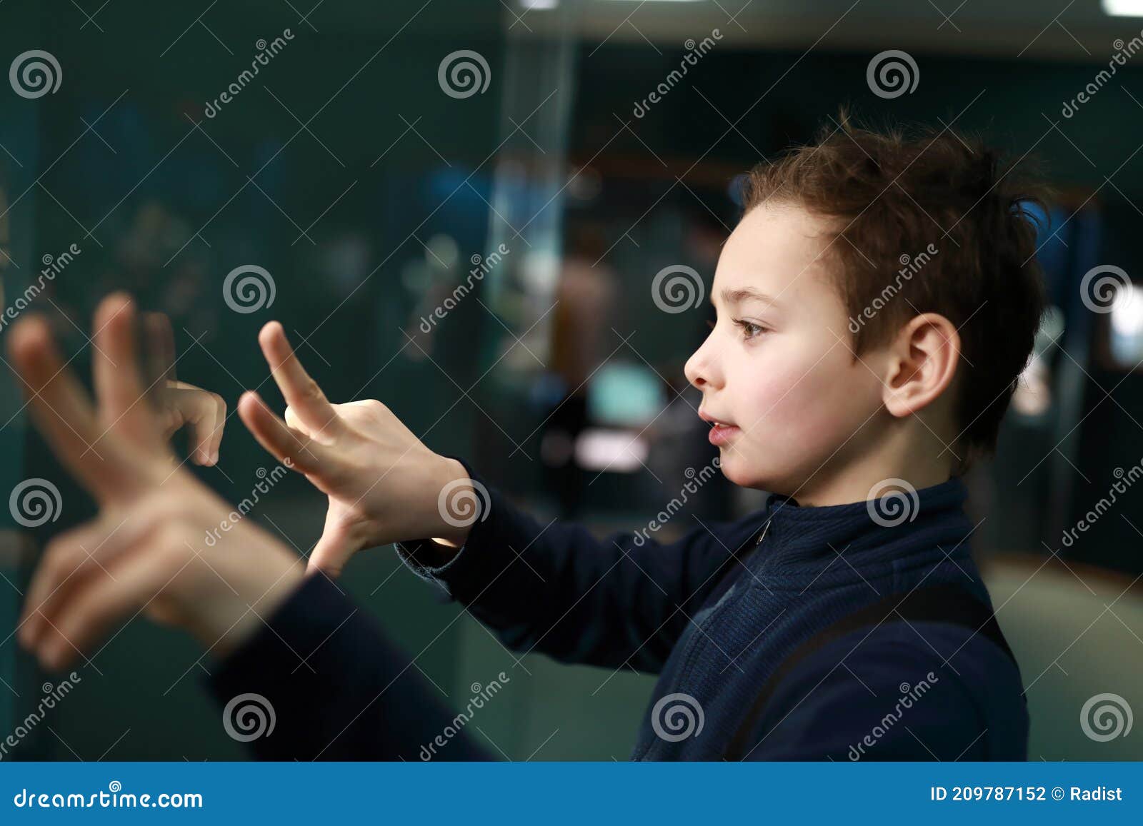 Child Touching Showcase in Museum Stock Photo - Image of contemplation ...