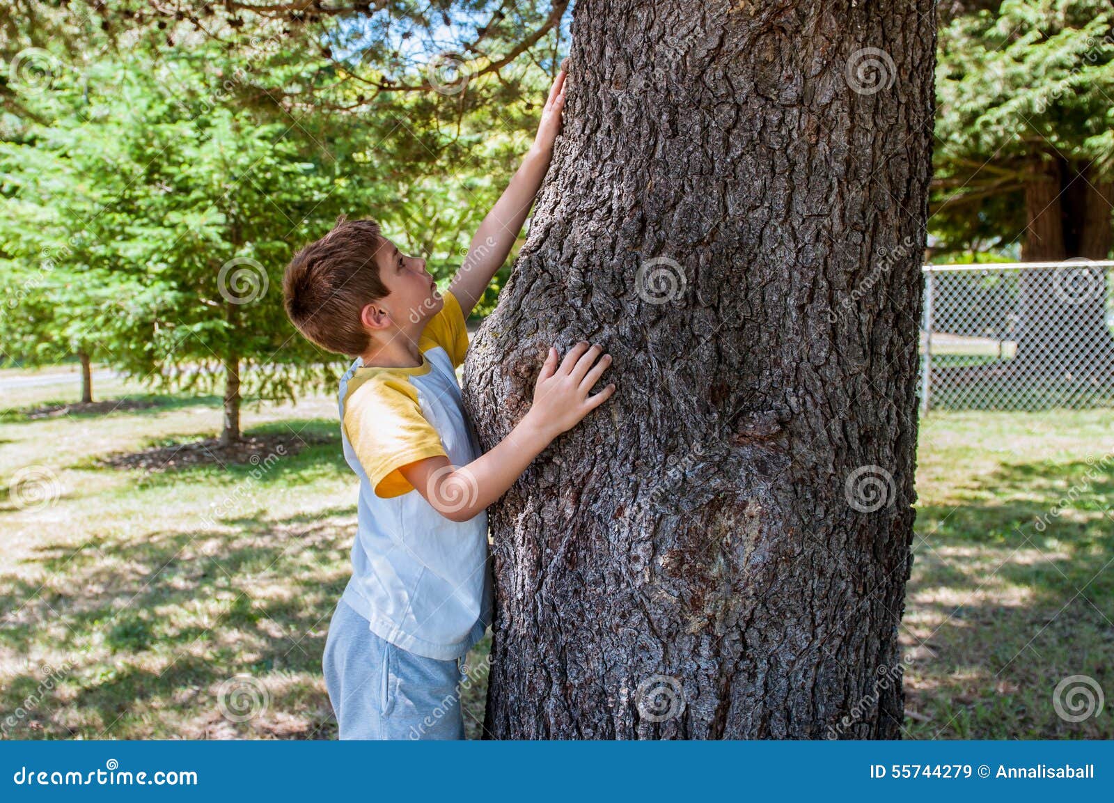 Child touching a tree stock image. Image of earth, rough - 55744279