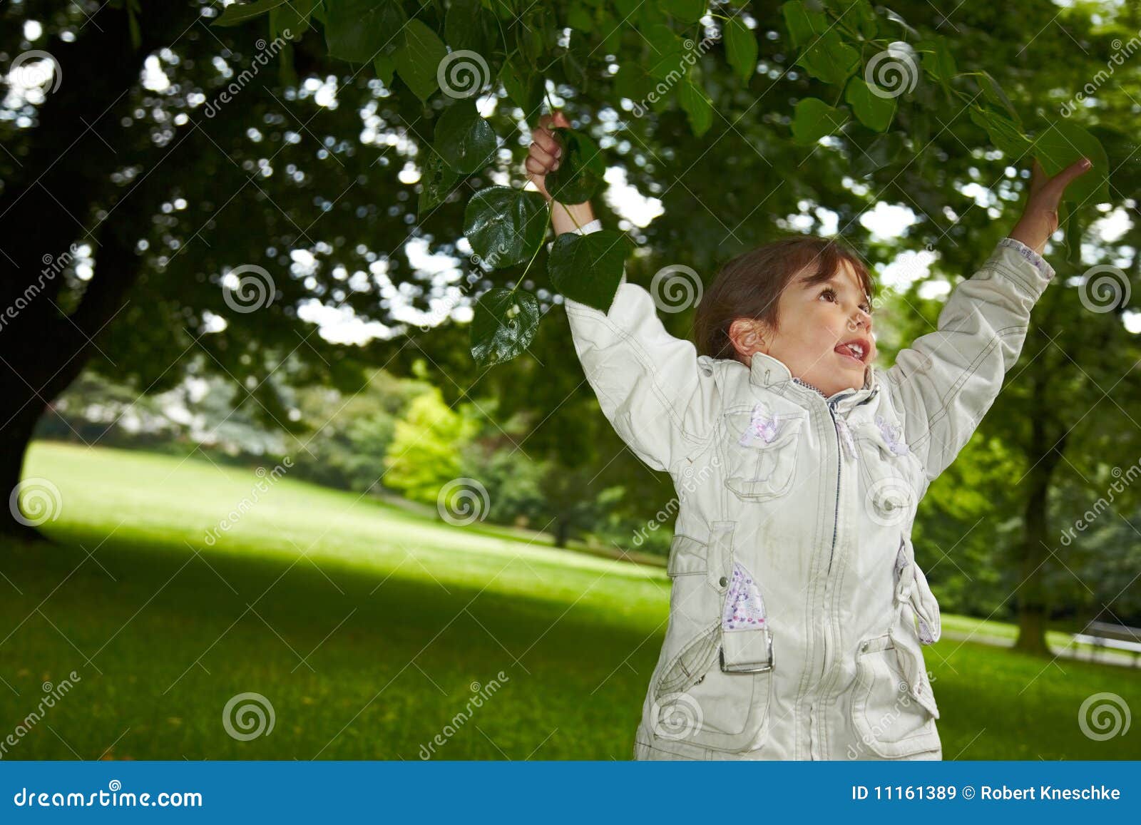 Child on tree stock image. Image of grasp, environment - 11161389