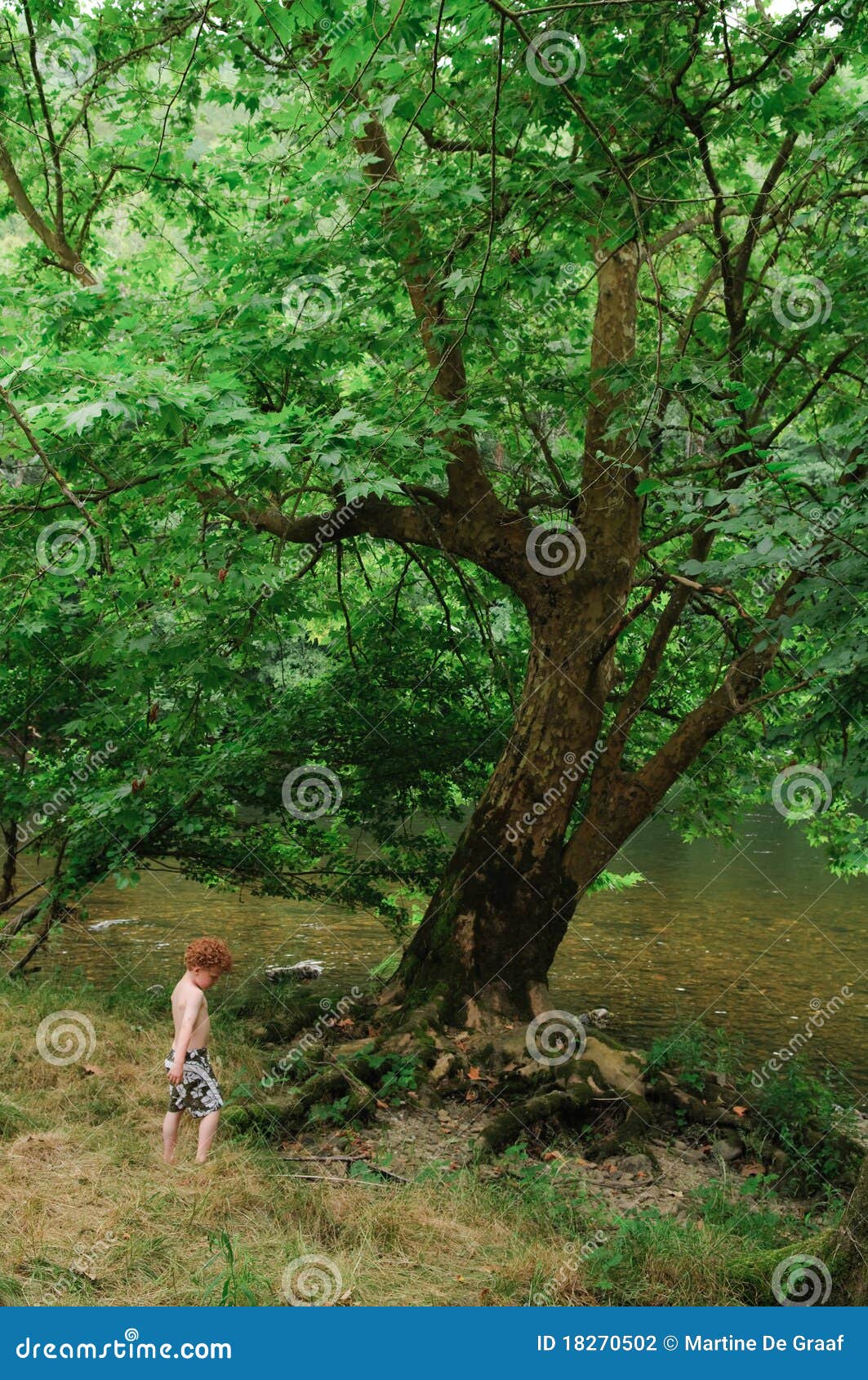 Child and Tree stock photo. Image of green, little, bank - 18270502