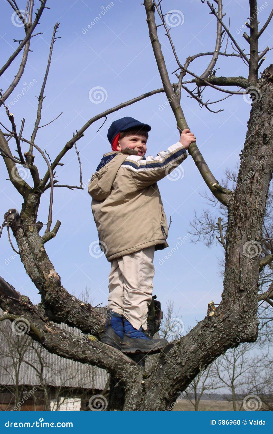 Child in a Tree stock photo. Image of happiness, happy - 586960