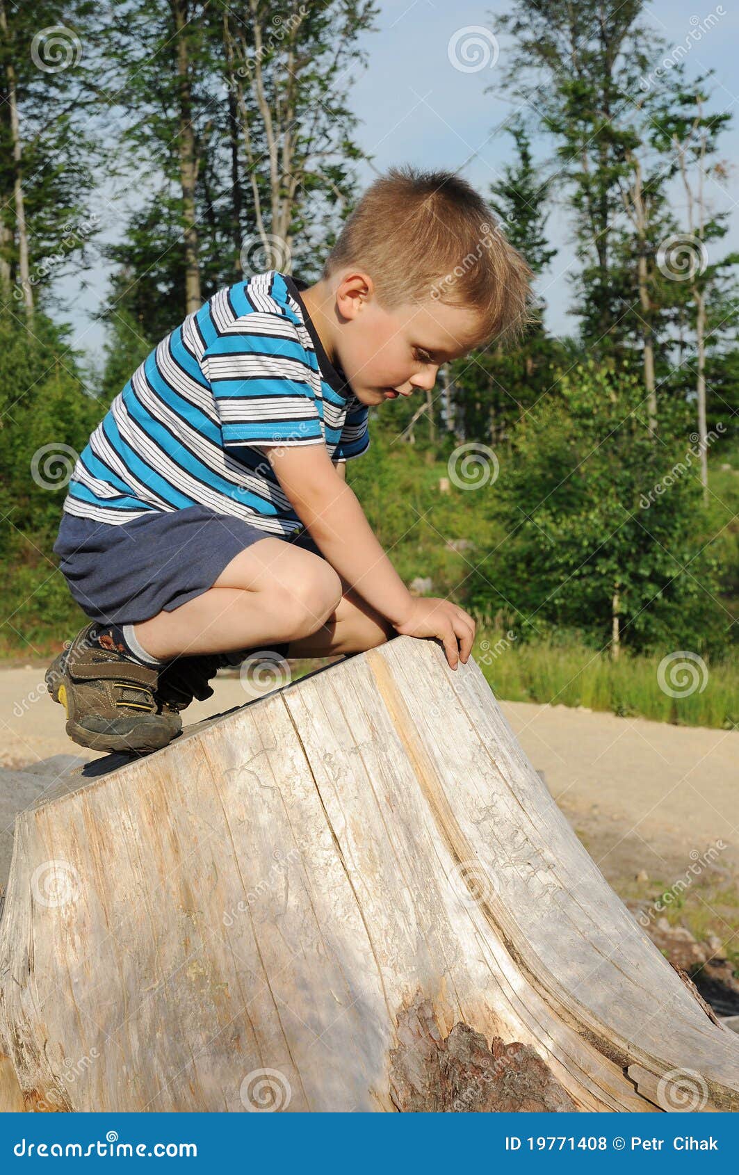 Child on tree stool stock photo. Image of forest, outdoors - 19771408