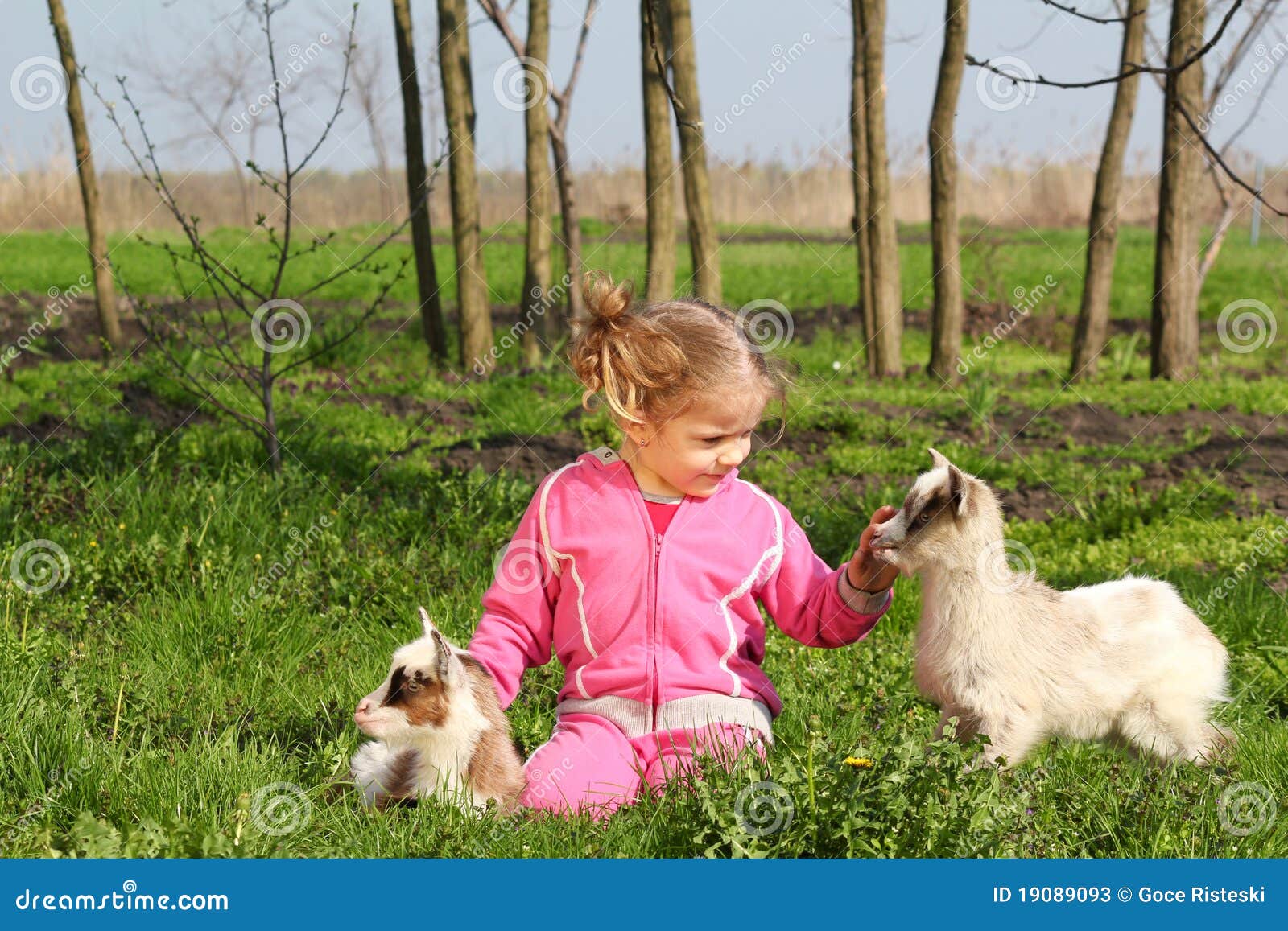 Child and two little goats stock image. Image of beautiful - 19089093